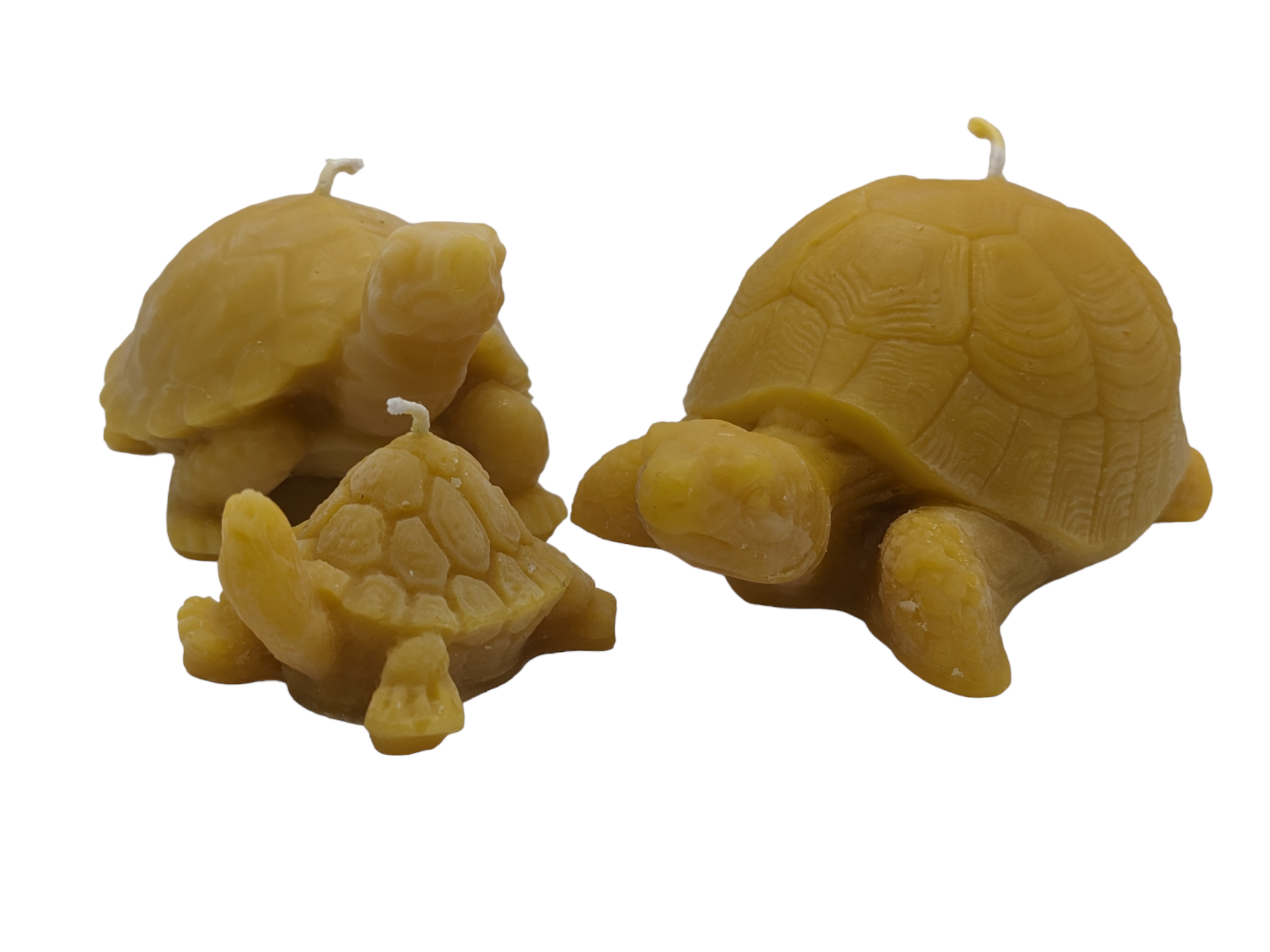 Turtle Candles | The Bee Folks